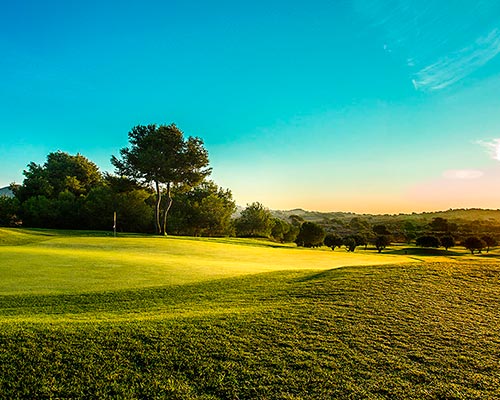 El Bosque Golf – Locos por el golf